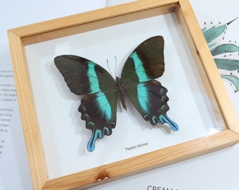 Second Hand Frames - Etsy