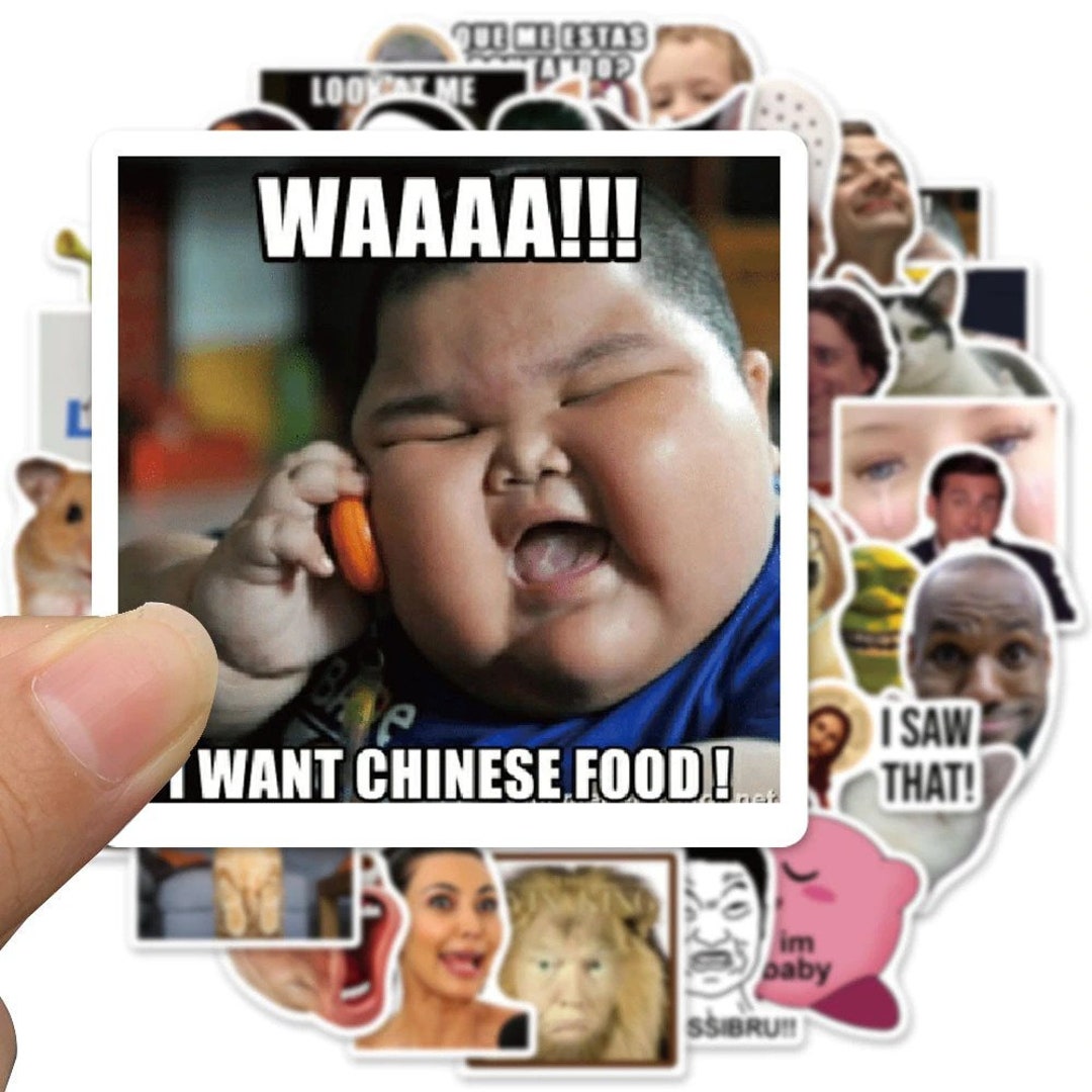 Meme Stickers | Set of 50 | SAME Day SHIPPING! | Phone Stickers ...