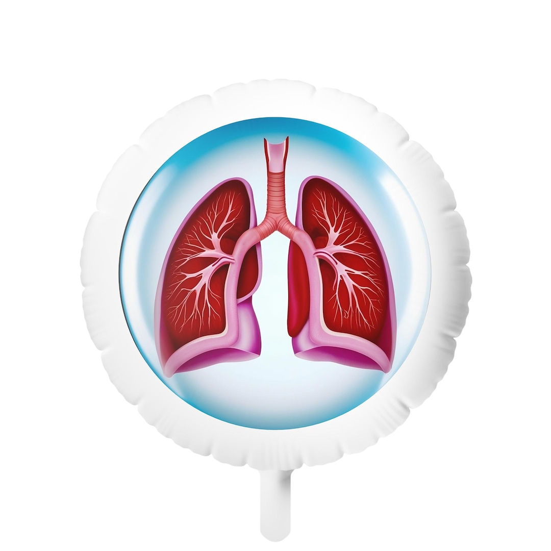 Lungs Helium Balloon. Healthy Lungs Helium Balloons. Medicine Related ...