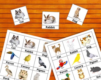 Pet Flash Cards - Etsy