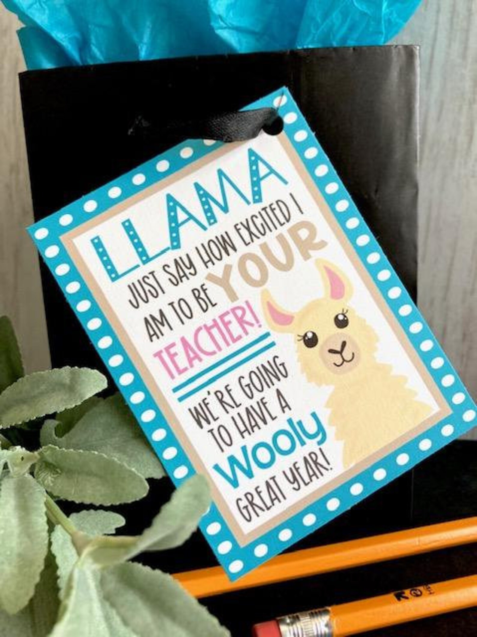 Cute Llama Teacher Tag Back to School Llama Theme Llama - Etsy