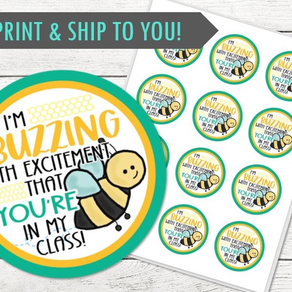 Bee Class Theme - Etsy