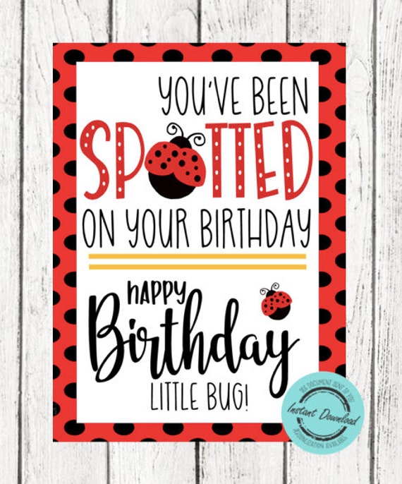 Cute Ladybug Happy Birthday Tag Back to School Ladybug Theme - Etsy