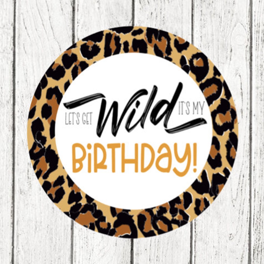 Cute Cheetah Happy Birthday Stickers Back to School Cheetah - Etsy
