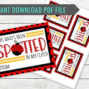 Cute Ladybug Teachers Welcome Tag - Back to School Ladybug Theme ...