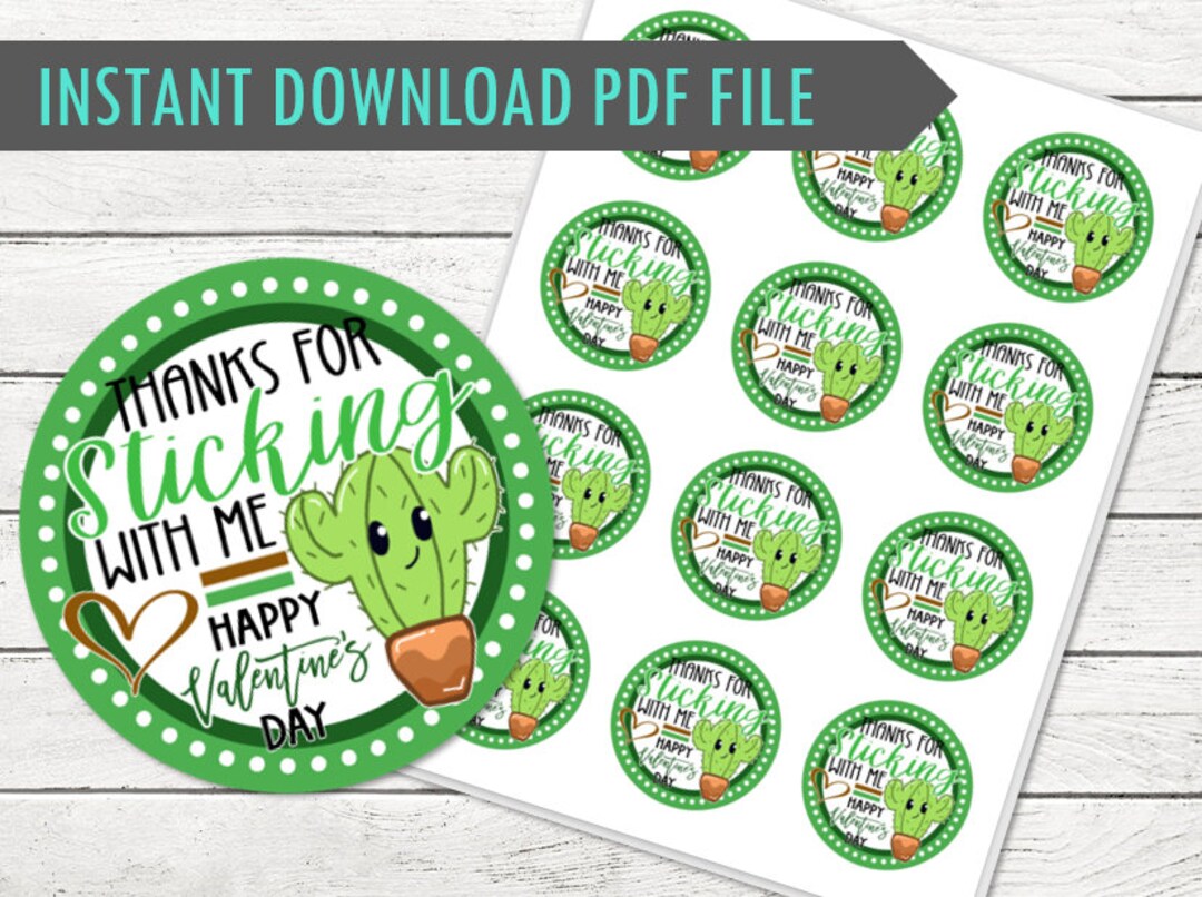Cute Cactus Valentines Day Sticker Sheet - Happy Valentines Day ...