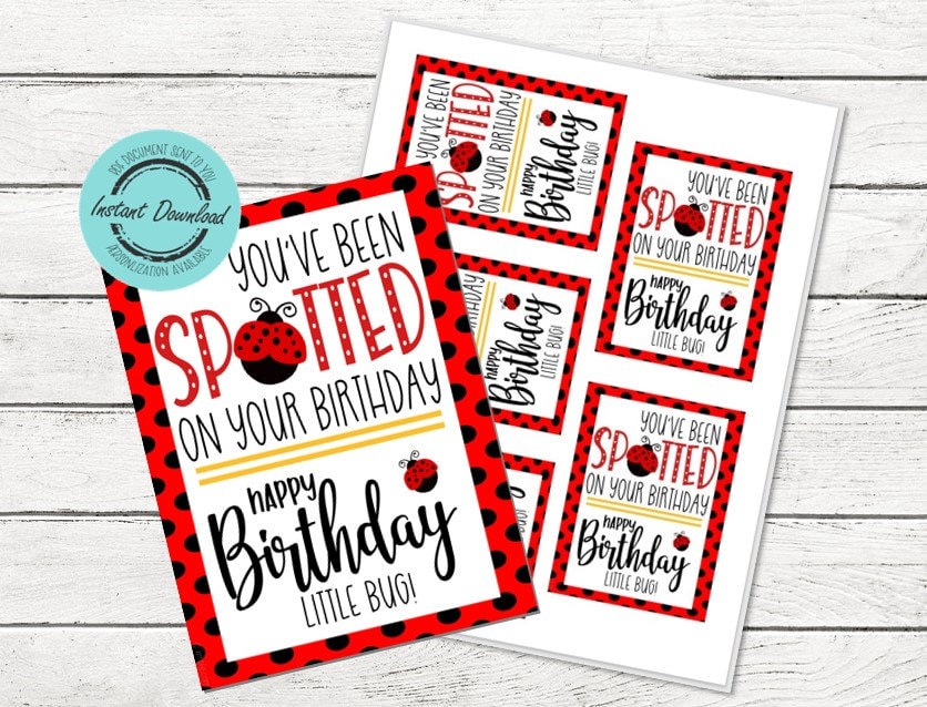 Cute Ladybug Happy Birthday Tag - Back to School Ladybug Theme - Great ...