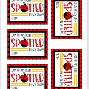 Cute Ladybug Teachers Welcome Tag - Back to School Ladybug Theme ...