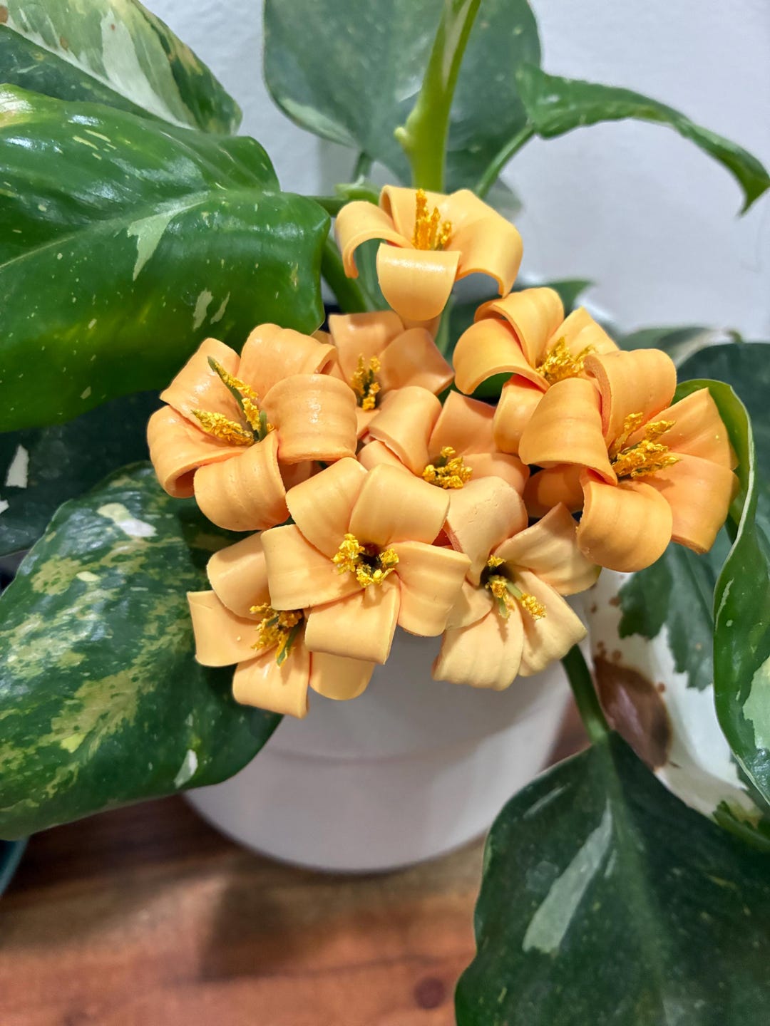 Puakenikeni Flower Picks for Cowboy Hats or Hair Accessories - Etsy