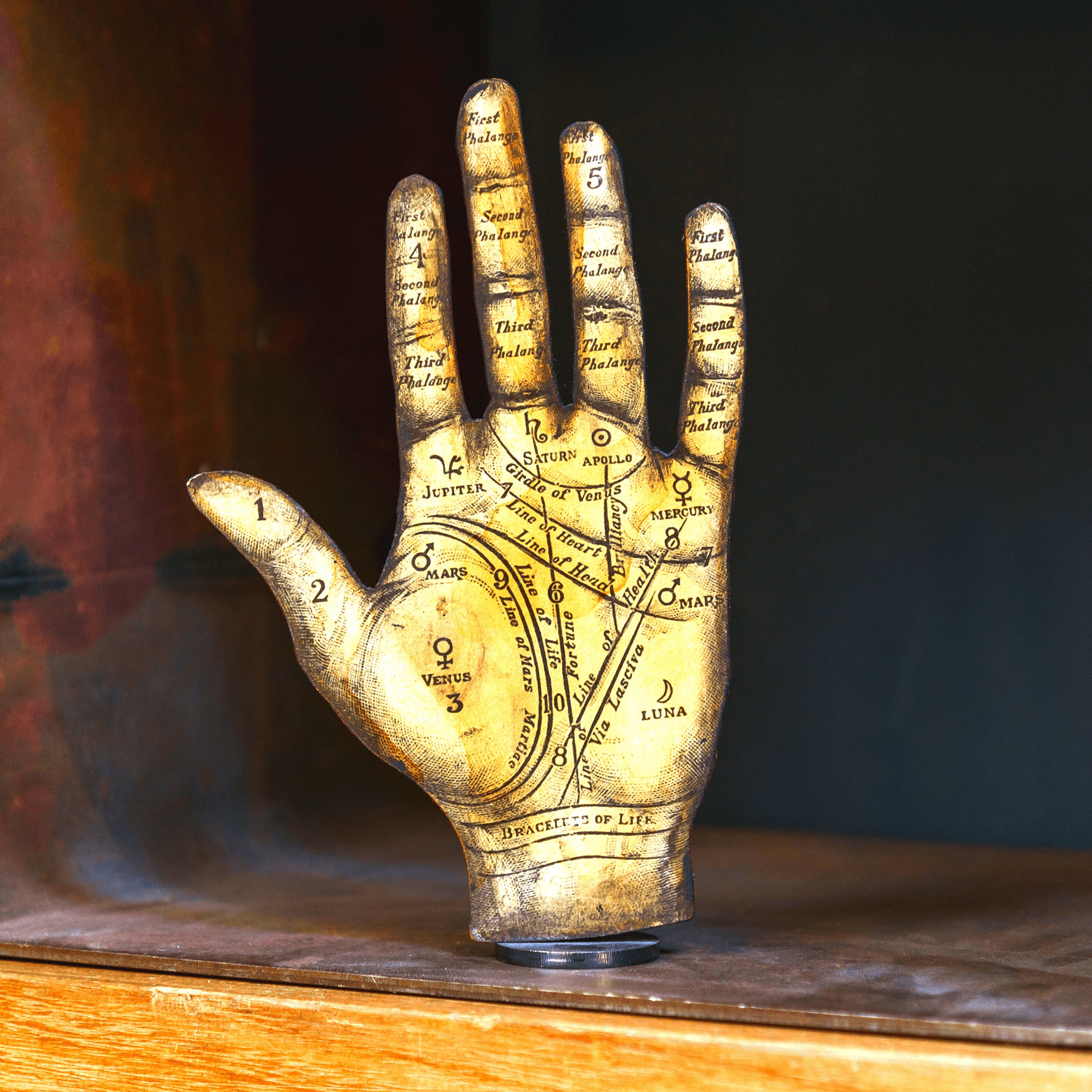 14 Rare Palmistry Books Rare Occult Books Magick Books - Etsy