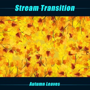 Animated Twitch Transition Stinger / Maple Leaf Stream Transition ...