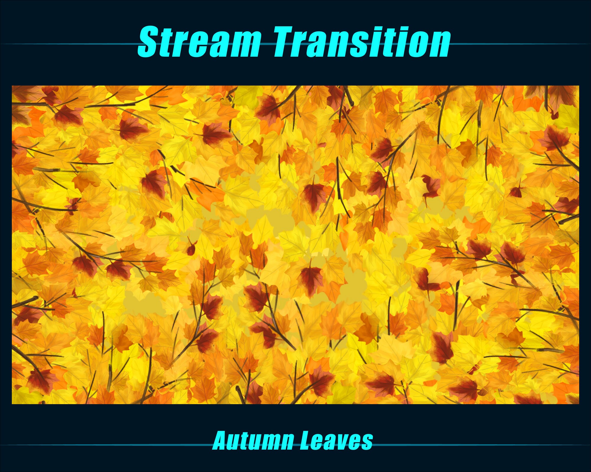 Animated Twitch Transition Stinger / Maple Leaf Stream Transition ...