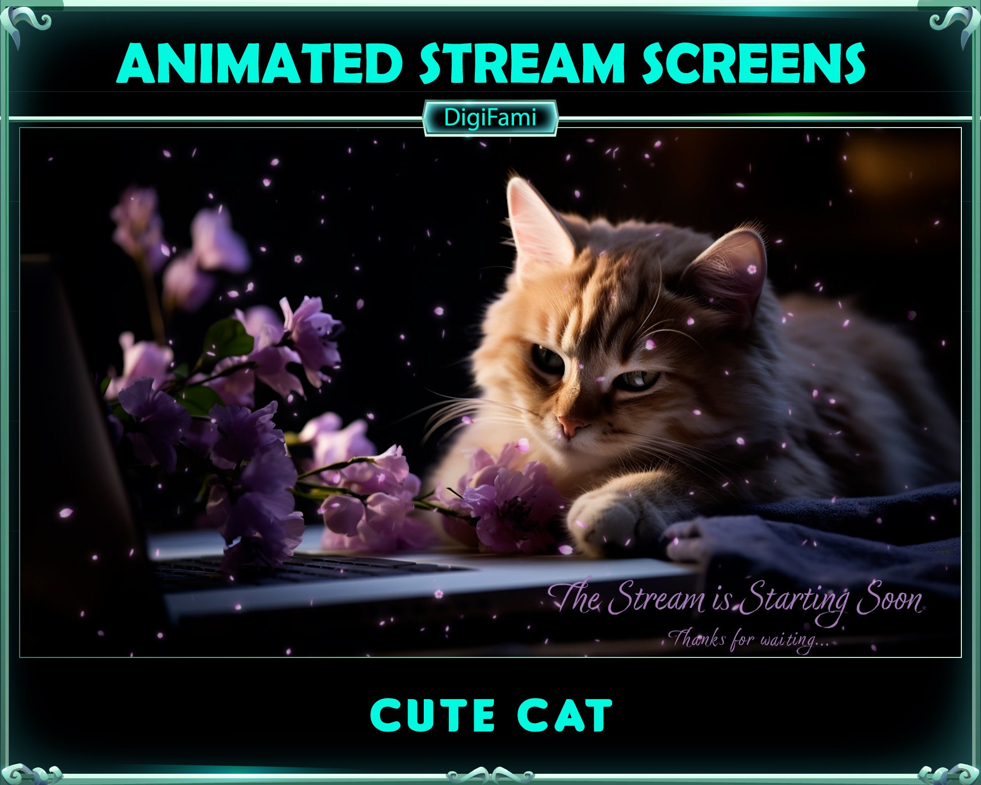 ANIMATED Twitch Stream Overlays Cute Cats, Cute Kittens Animated Stream ...