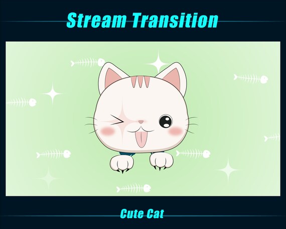Animated Twitch Transition Stinger / Cute Cat Stream - Etsy