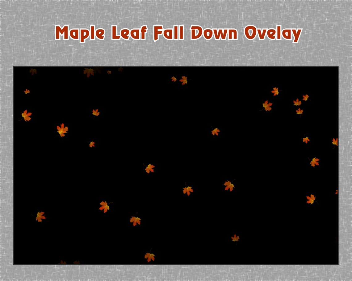 Animated Maple Leaf Falling Down Twitch Overlay / Animated Red Yellow ...