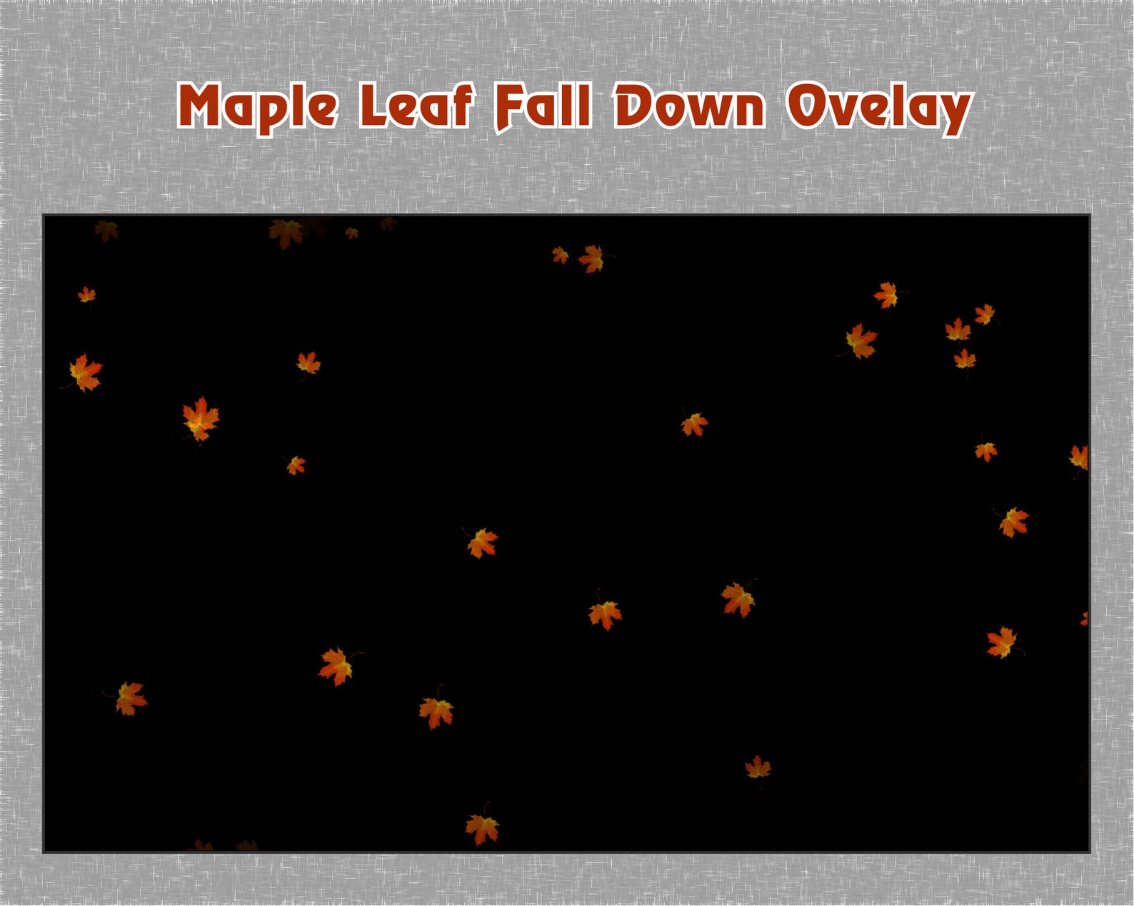 Animated Maple Leaf Falling Down Twitch Overlay / Animated Red Yellow ...