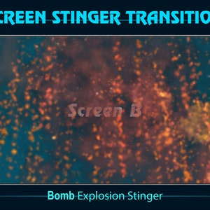 Animated Bomb Explosion Twitch Stinger Transition / Animated Bomb ...