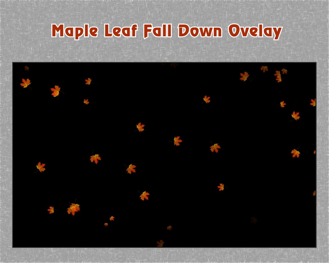 Animated Maple Leaf Falling Down Twitch Overlay / Animated Red Yellow ...