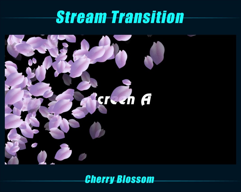 Animated Twitch Transition Sakura Stinger / Purple Cherry Blossom ...
