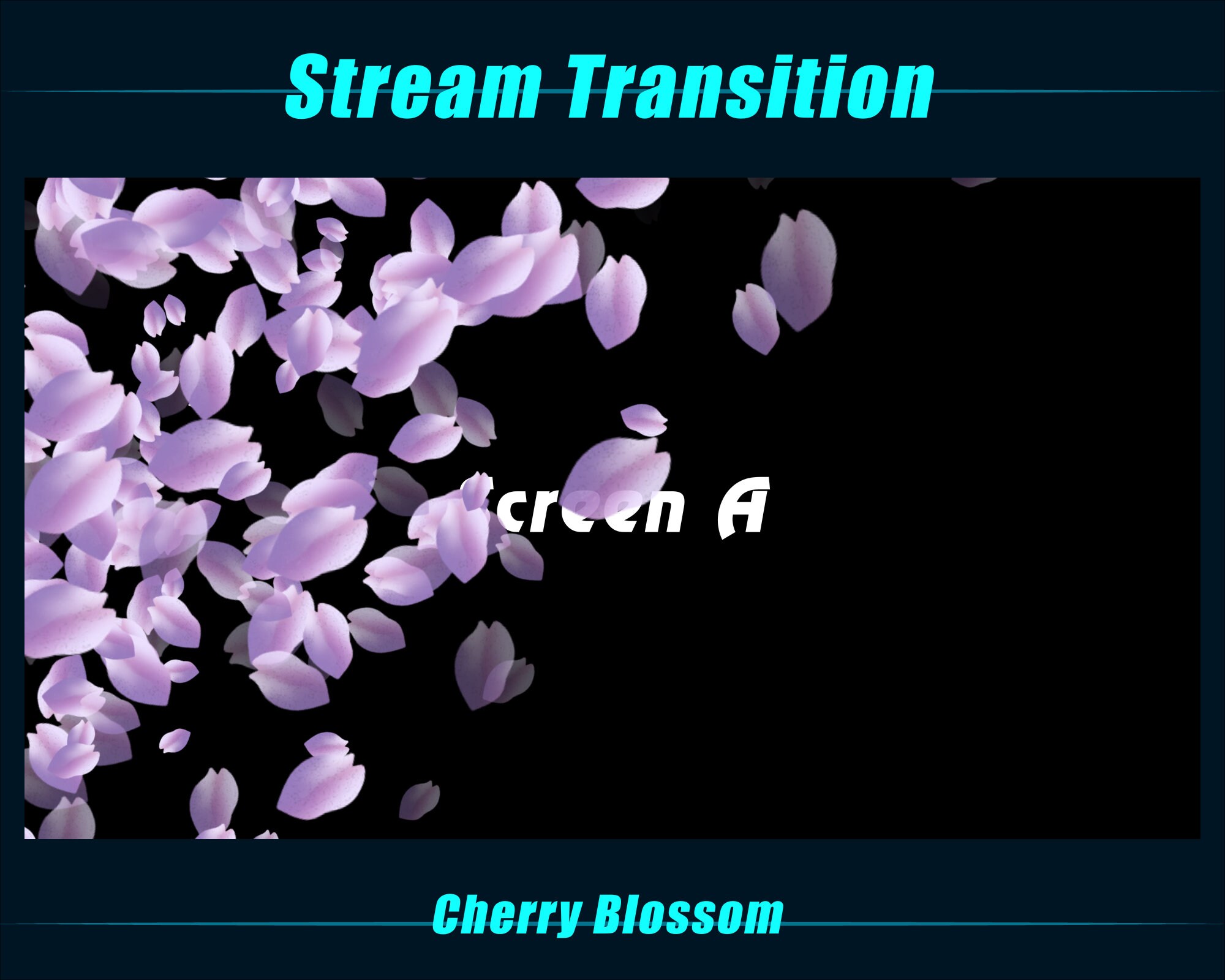 Animated Twitch Transition Sakura Stinger / Purple Cherry Blossom ...
