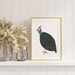 Printable Haitian Fowl Art Print, Caribbean Wall Art for Instant ...