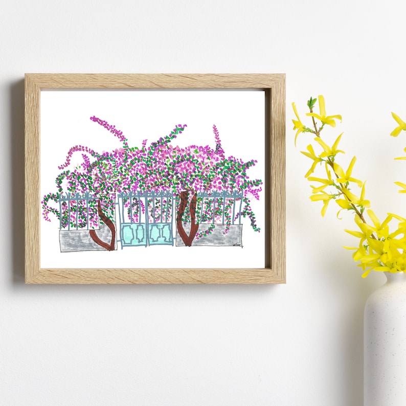 Printable Bougainvillea Floral Wall Art Blue Metal Gate Floral Hand Drawn Caribbean Flowers