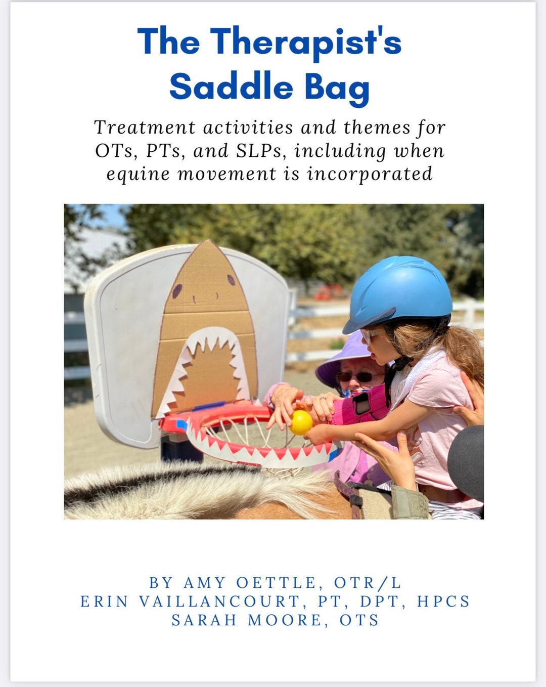 The Therapist's Saddle Bag Hippotherapy Activity Ideas - Etsy
