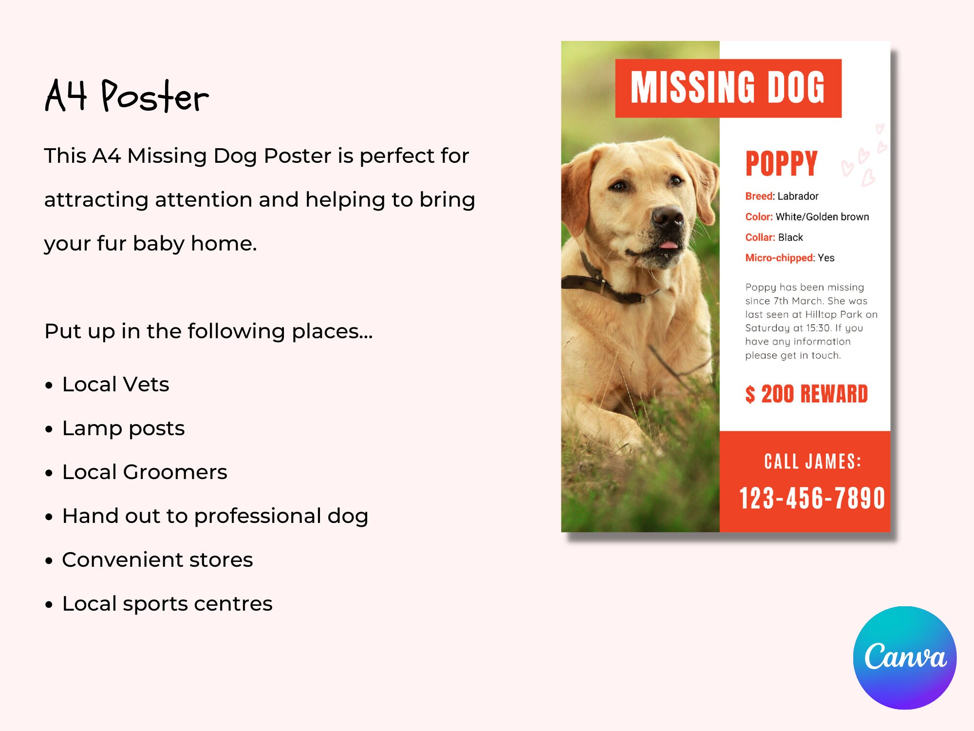 Missing Dog Flyer Missing Dog Poster Missing Dog Template Lost Dog ...