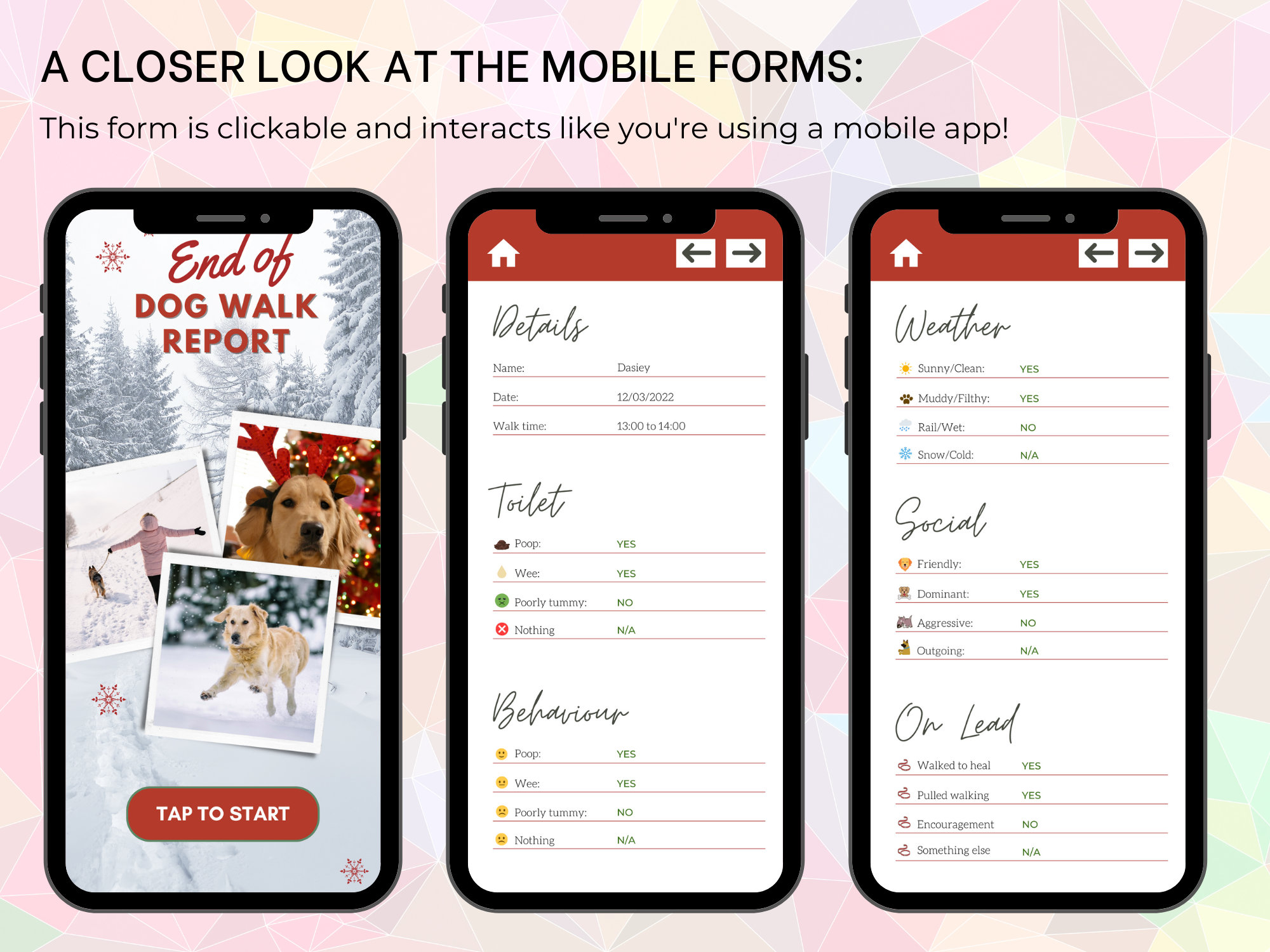 Dog Walking Report Card | Electronic Report Card | Dog Walker Forms ...