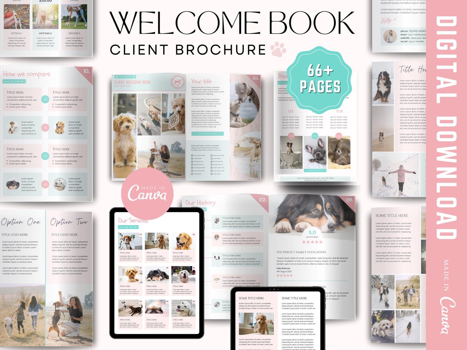 ULTIMATE Dog Walking & Pet Sitting Forms Bundle | Dog Walking Forms ...