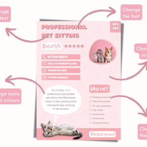 Dog Walking Flyer Poster Leaflet, Pet Sitting Flyer Poster Leaflet, Pet ...