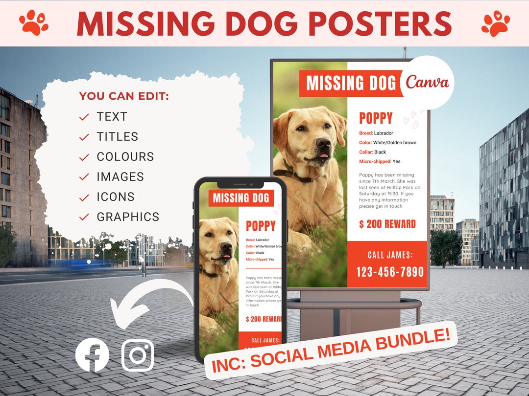 Missing Dog Flyer Missing Dog Poster Missing Dog Template Lost Dog ...