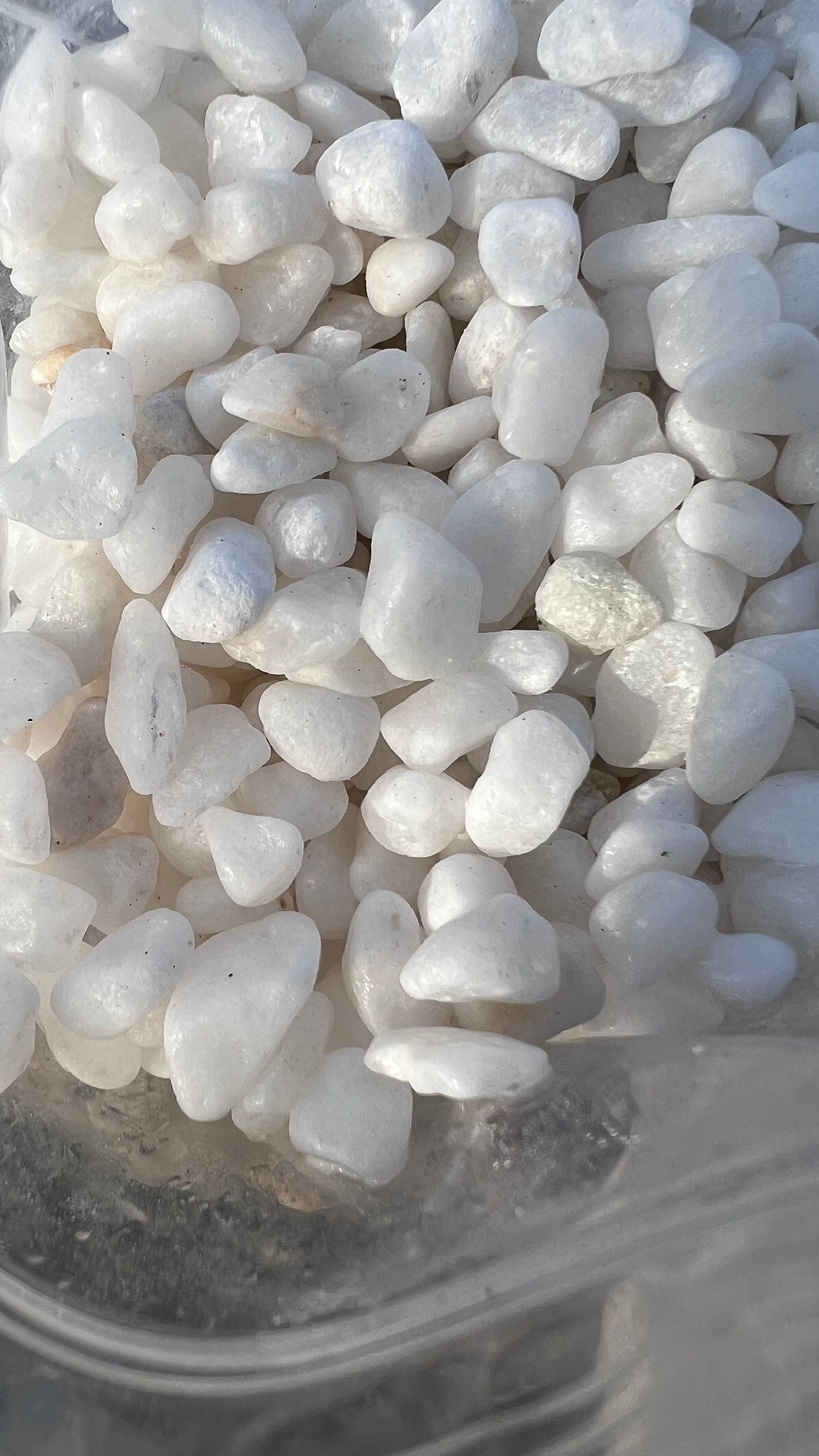 2 Lb White Pebbles for Plants, Succulents, and Garden Vases White Rocks ...