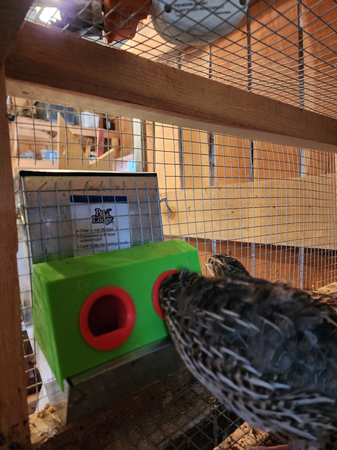 5 in Chick and Quail Feeder Attachment for a 5 Inch J Feeder - Etsy