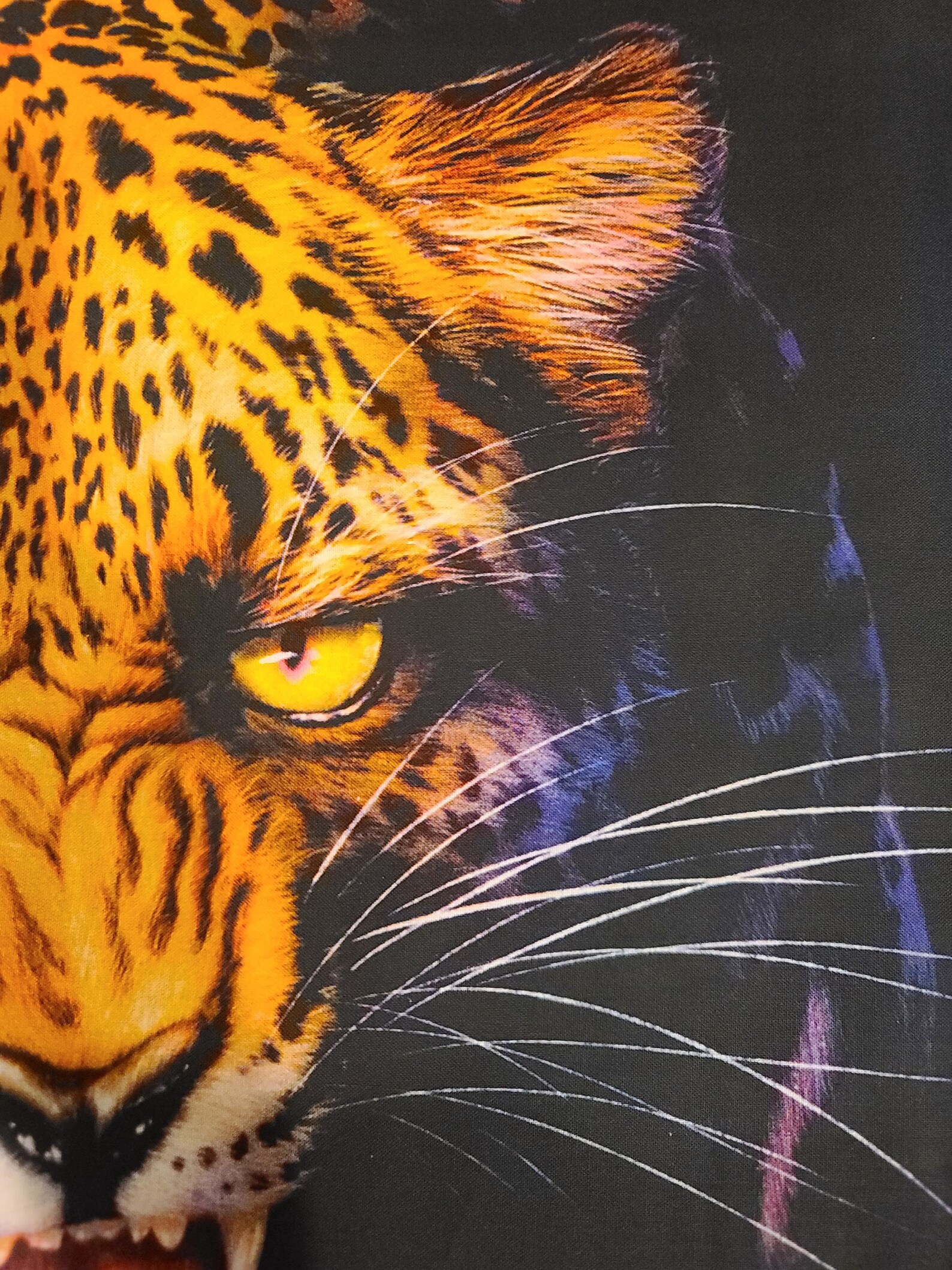 Cheetah Print, Wild Cheetah Digital Print by Robert Kaufman, Large ...