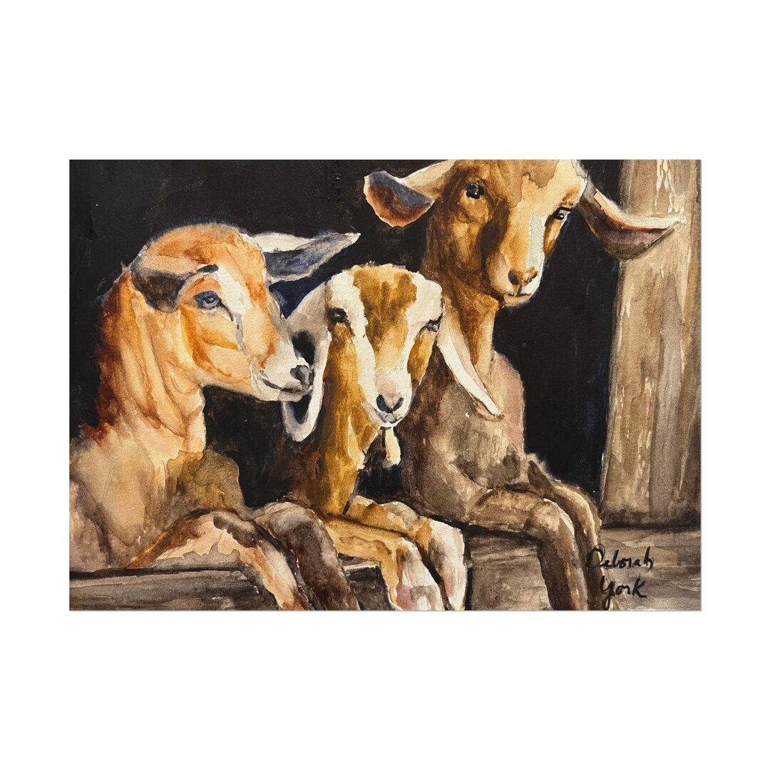 Family of Goats Rolled Posters | Goat Herd Illustration, Farm Animal ...