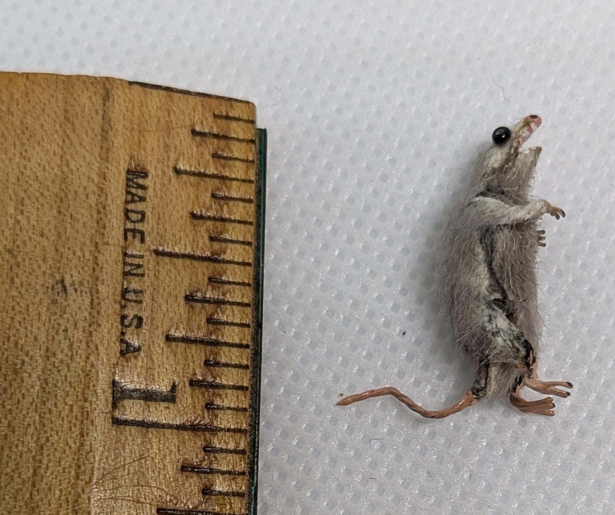 Antique German Mohair Rat / Mouse Miniature - Pre-war Dollhouse Pet ...