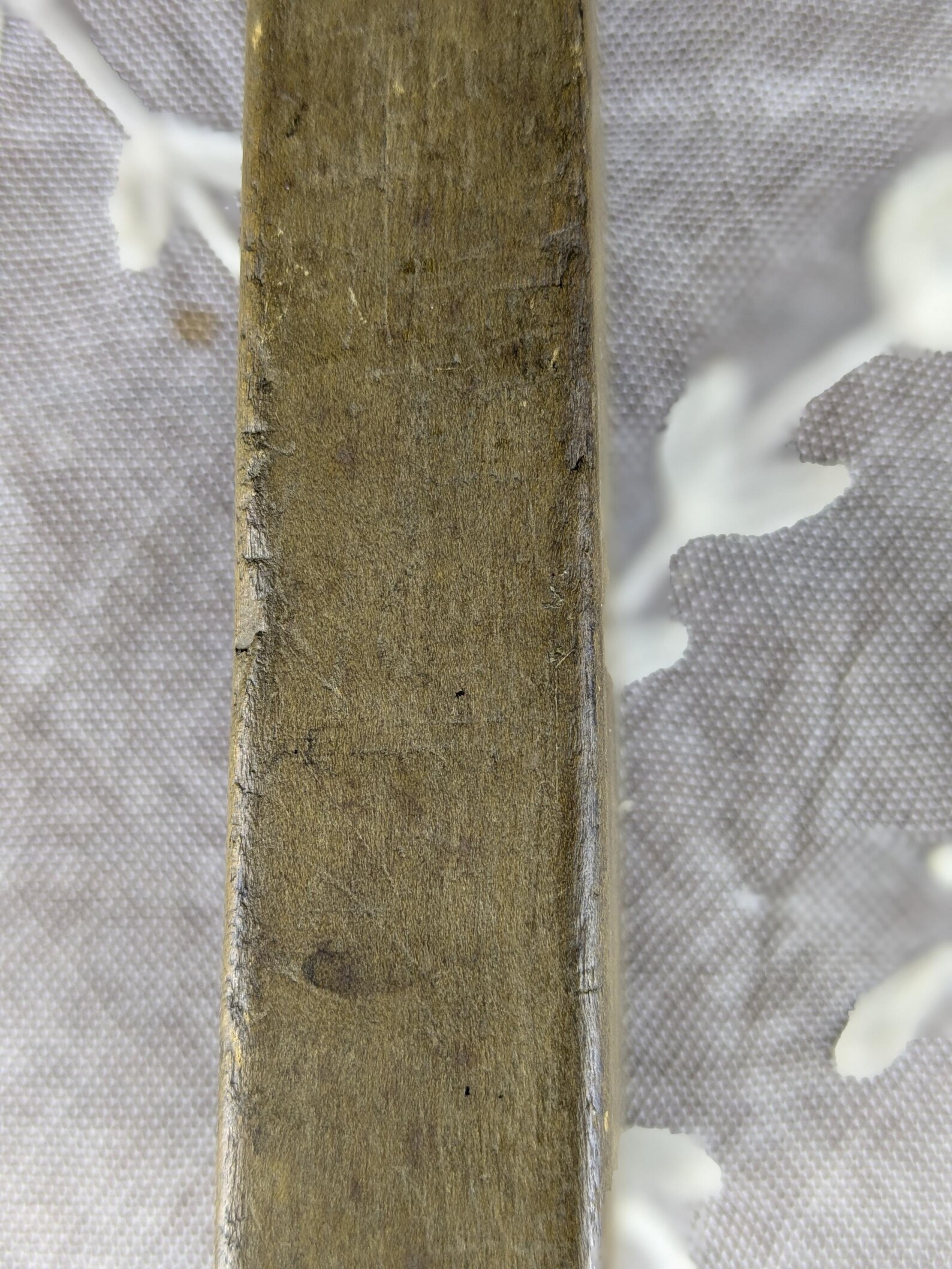 Antique Dutch Speculaas Mold, Carved Wooden Sinterklaas Cookie Press ...