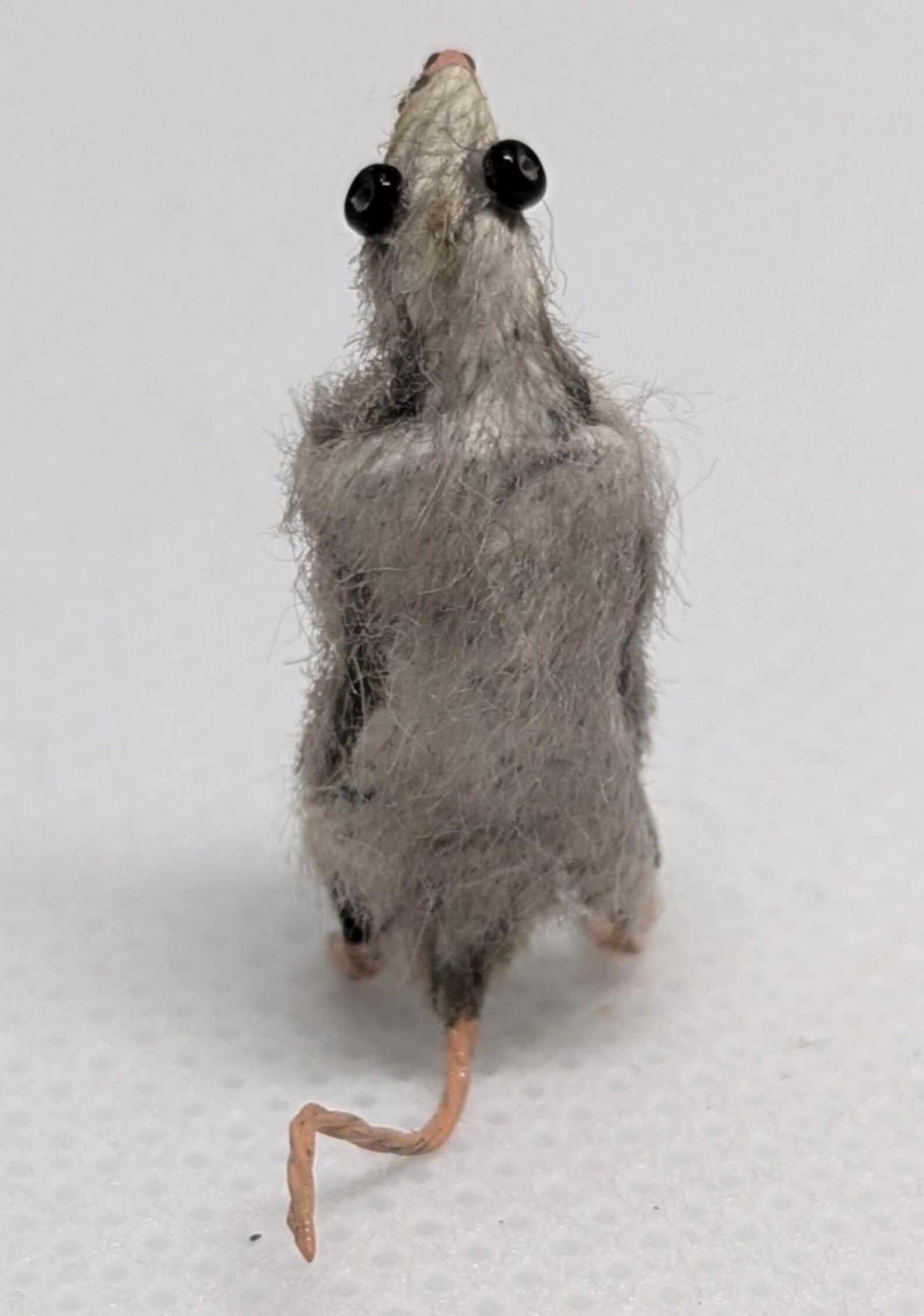 Antique German Mohair Rat / Mouse Miniature - Pre-war Dollhouse Pet ...