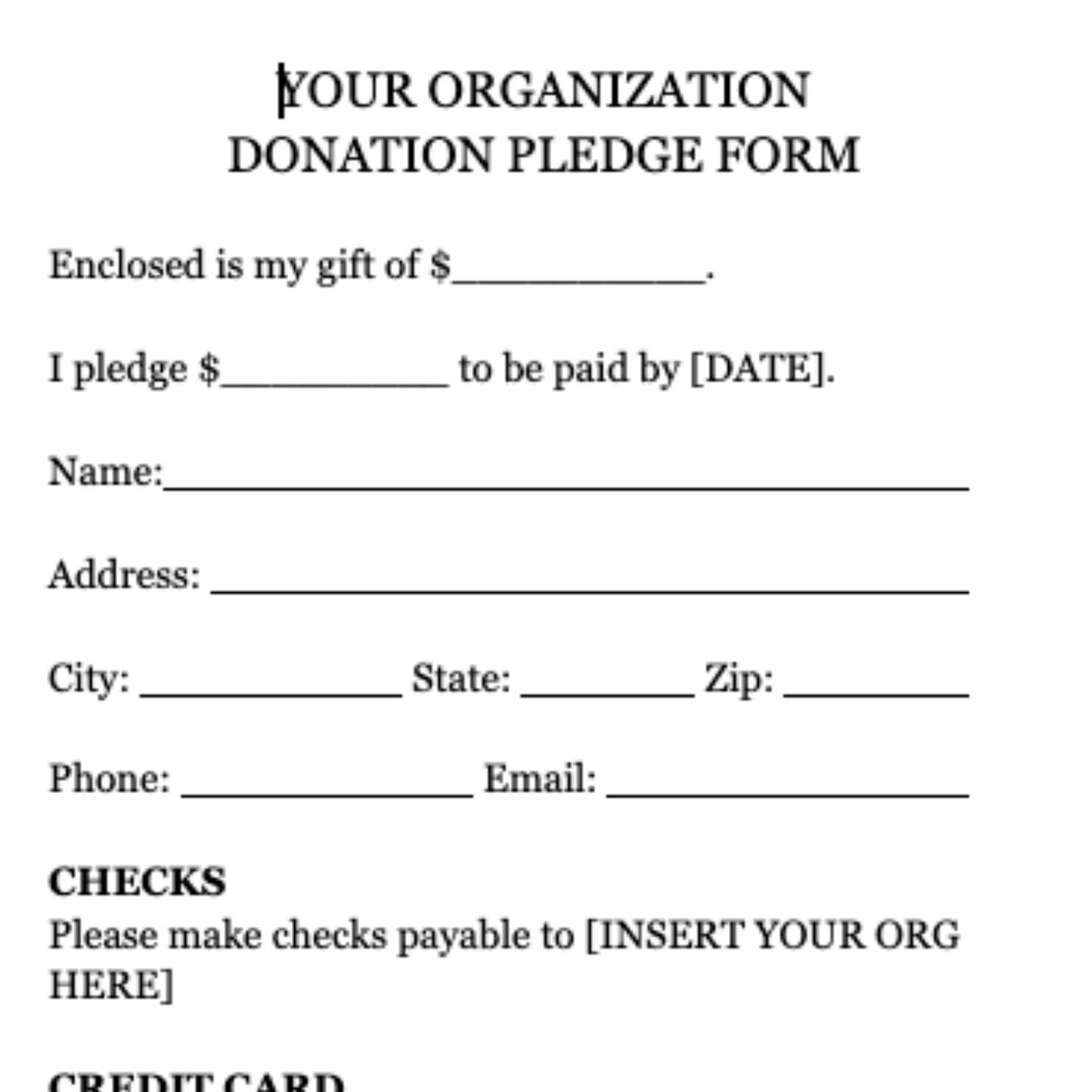 Donation Pledge Form Editable, Printable Donation Flyer, School ...