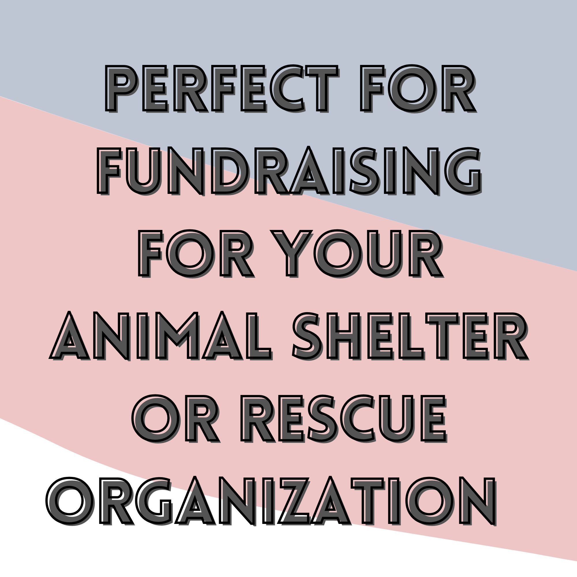 Pet Rescue Donation Form 2 per Page, Animal Shelter Fundraising Flyer ...