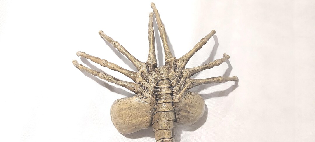 FACEHUGGER FROM ALIEN 1/1 Life-size Replica Approx. 110 Cm Length Top ...
