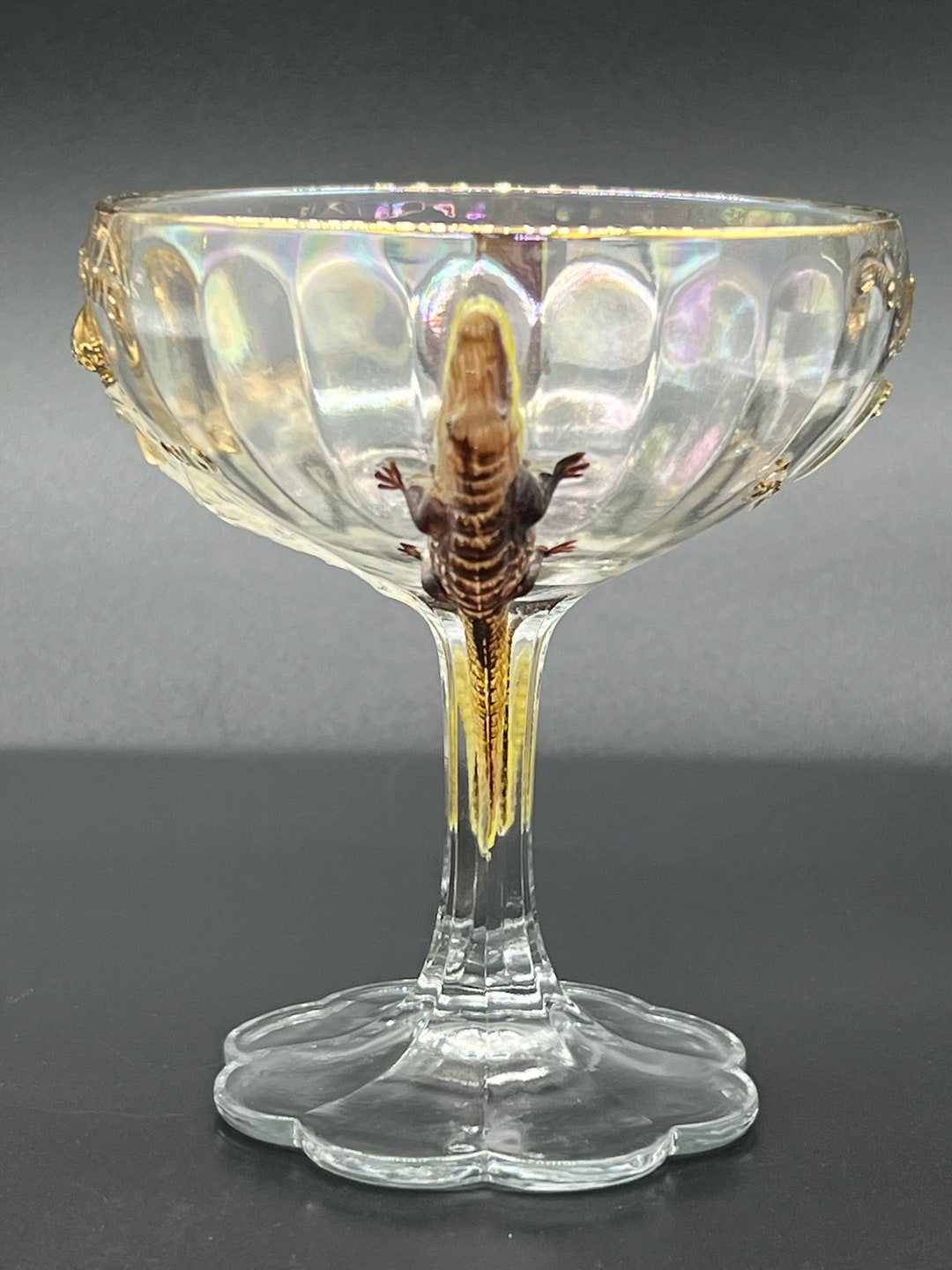 1910 New Orleans Masonic Shrine Goblet With Alligators - Etsy