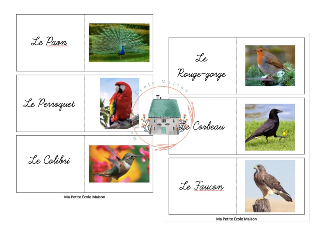 Bird Flashcards | Cartes Mémoire D'oiseaux |french | Français | Animal ...