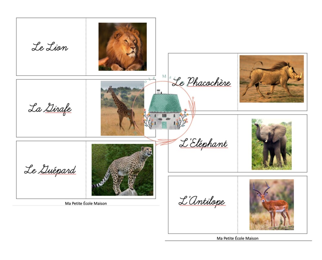 Flashcard Desert Animals | Carte Mémoire D'animaux Du Desert |french ...