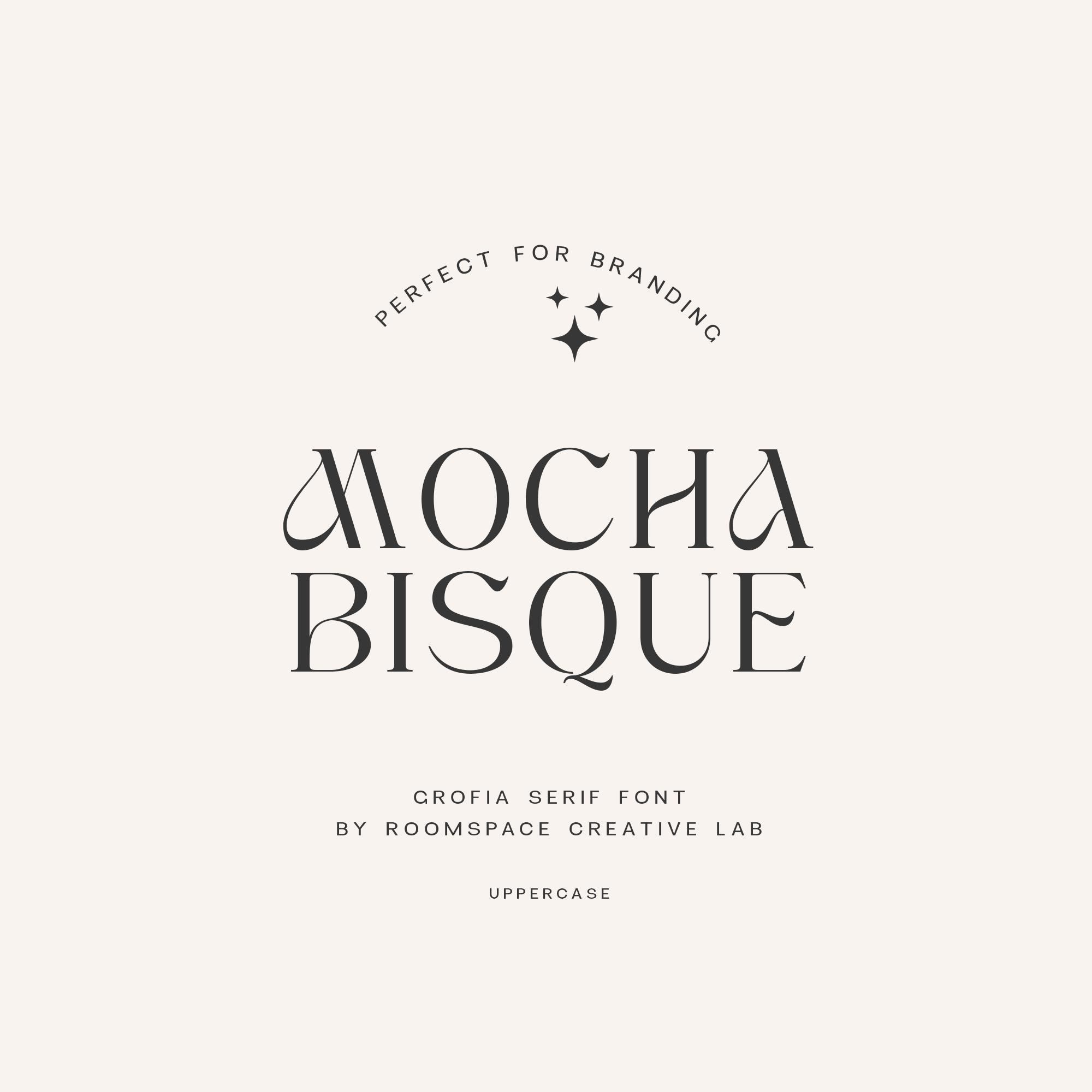 Procreate Font, Logo Font, Modern Font, Boho Font, Branding Font ...