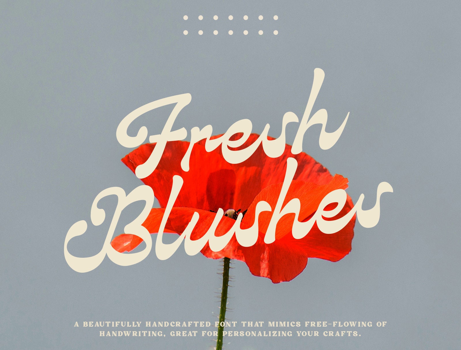 Fresh Blushes Calligraphy Font, Digital Font, Commercial Use, Handwritten, Feminine, Cricut ...