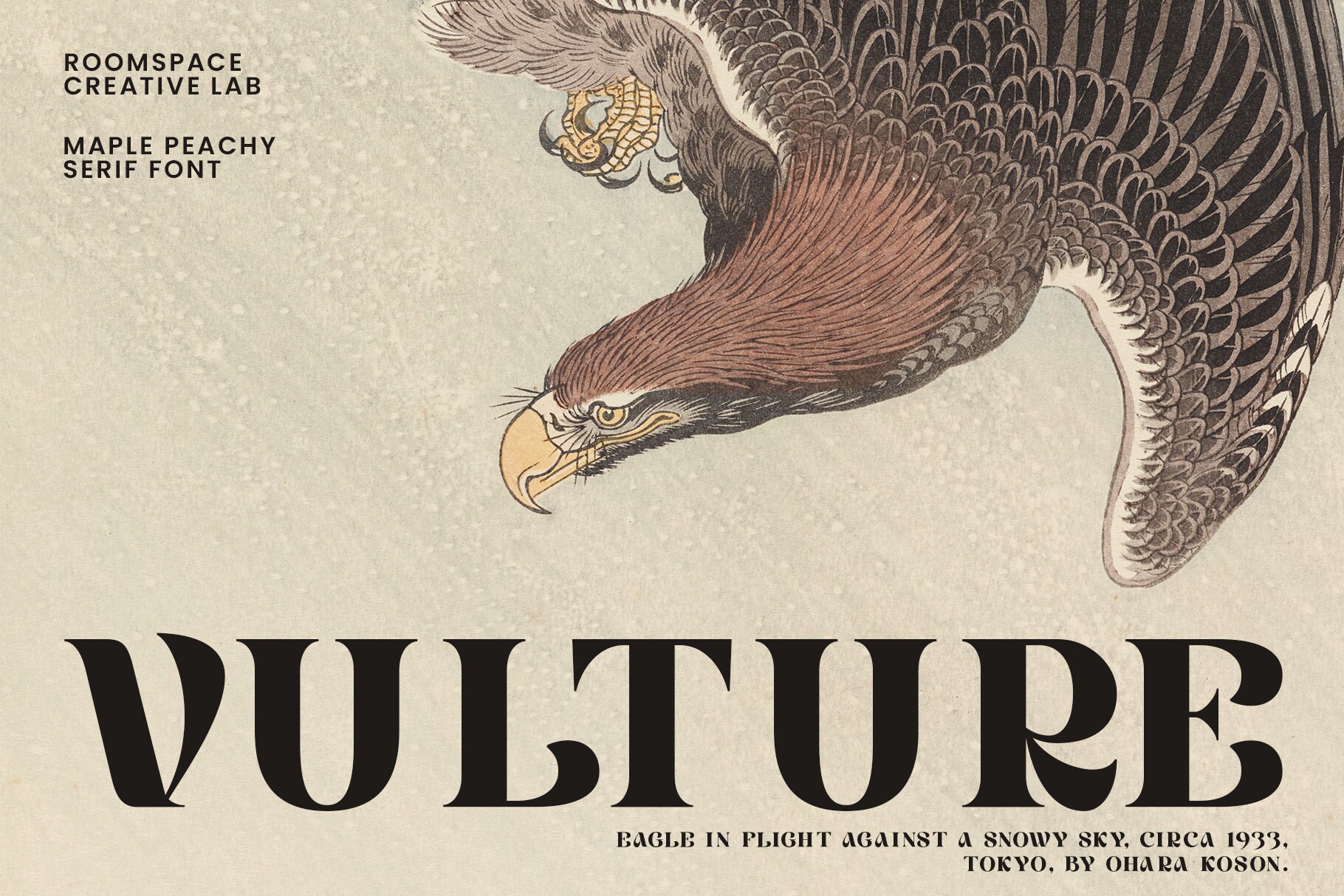 Maple Peachy a Elegant Modern Retro With Tail Swashes Font, Branding Font, Fonts for Cricut ...