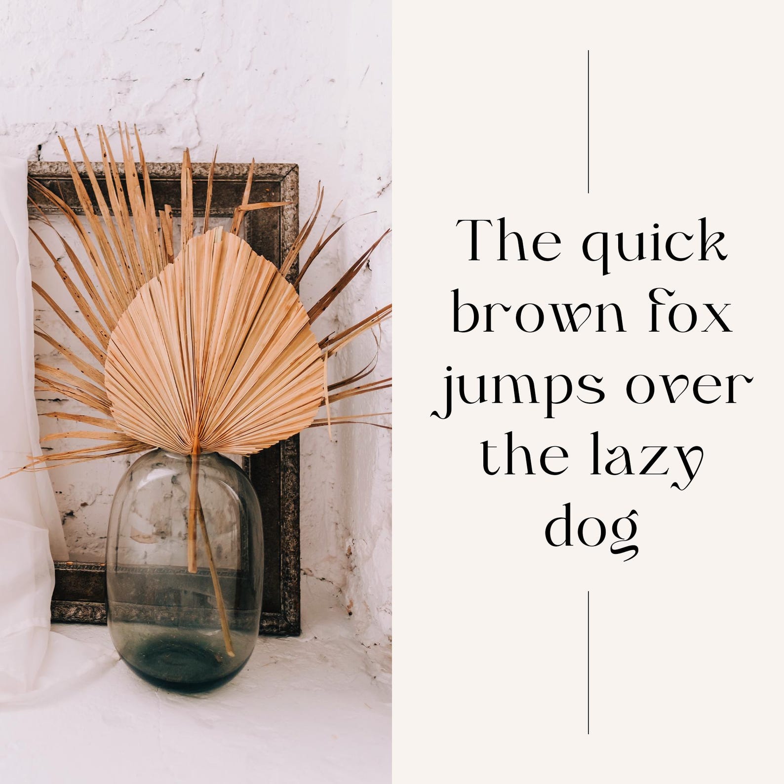 Procreate Font, Logo Font, Modern Font, Boho Font, Branding Font ...