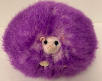 Pygmy Puff - Etsy